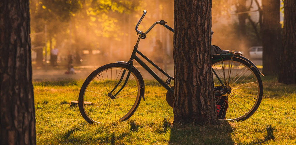 Mind.Id – Psykoanalyysiä ja psykoanalyyttistä-psykodynaamista psykoterapiaa